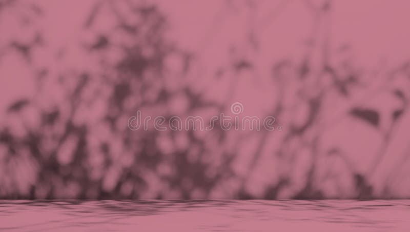 Shadow Plant Background Abstact Pattern Texture Overlay White Sun Light ...