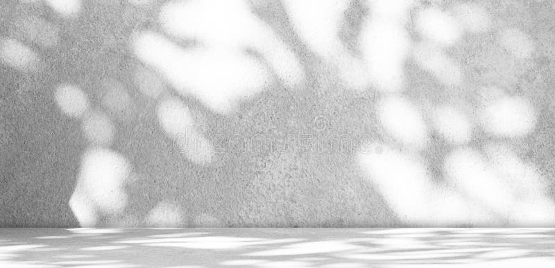 Shadow Plant Background Pattern Texture Abstract Linght Overlay on ...