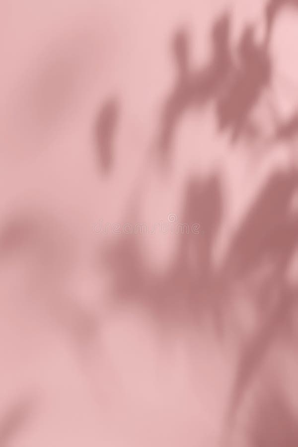 Shadow of Plants on Solid Pink Wall Texture Background Stock Photo ...