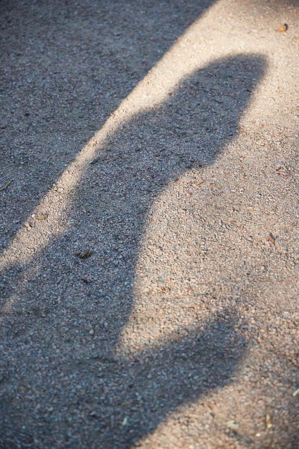 Shadow Play on a Gravel Pathway with Beautiful Colors and Breathtaking ...