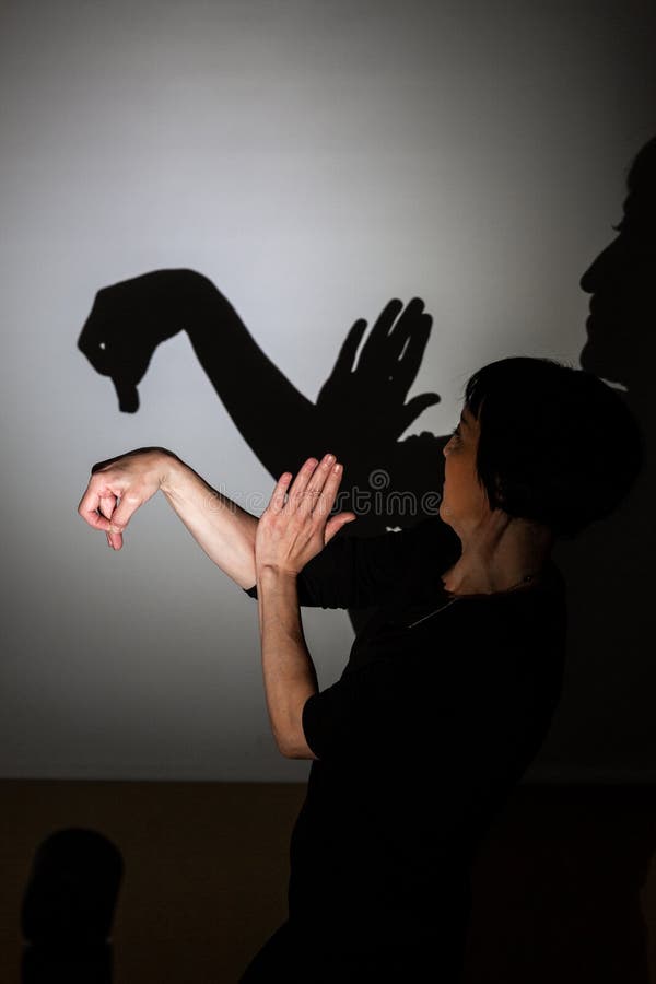 Shadow Play Projected Against a White Background. Swan Stock Photo ...