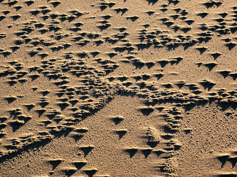 Shadow play on sand dune stock photo. Image of sculpt - 45438838