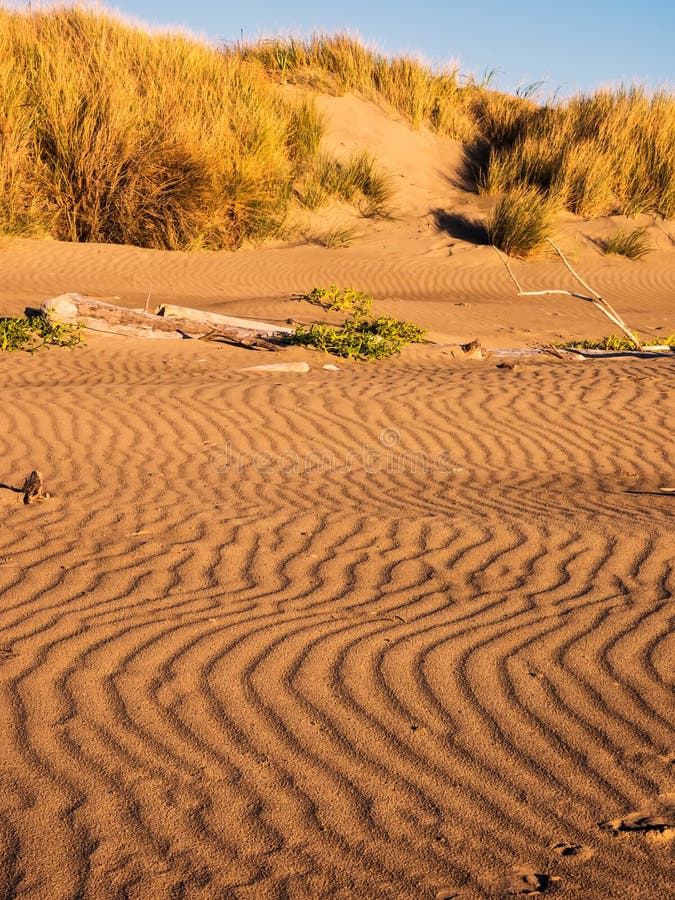 Shadow play on sand dune stock image. Image of field - 45438927
