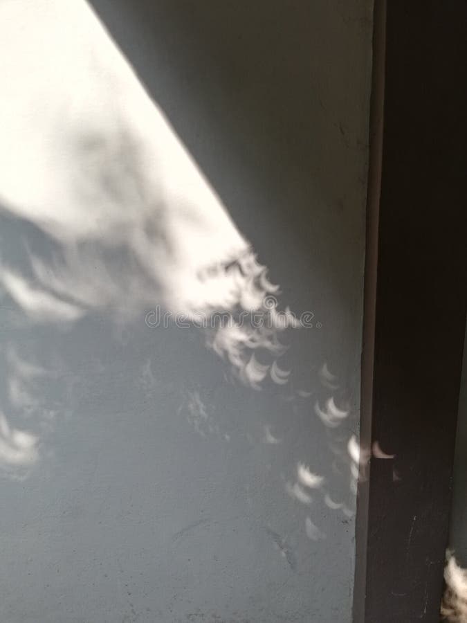 The Shadow of Rays of Sun Falling on Tree during Eclipse on My Wall ...