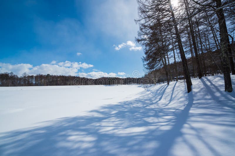 Shadow Reflected on the Snow Surface Stock Photo - Image of beautiful ...
