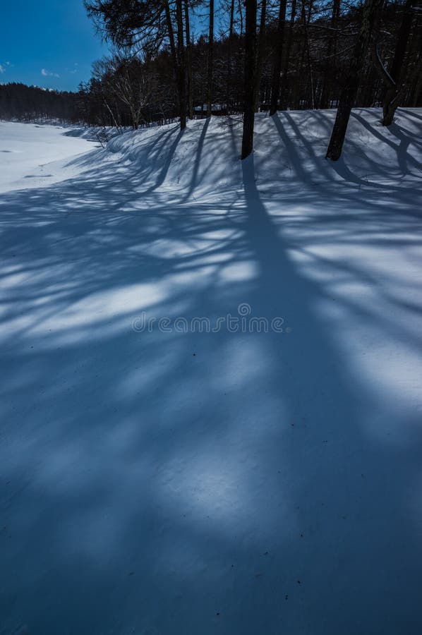 Shadow Reflected on the Snow Surface Stock Photo - Image of nature ...