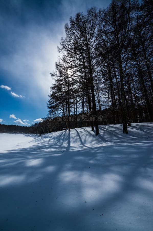 Shadow Reflected on the Snow Surface Stock Photo - Image of detail ...