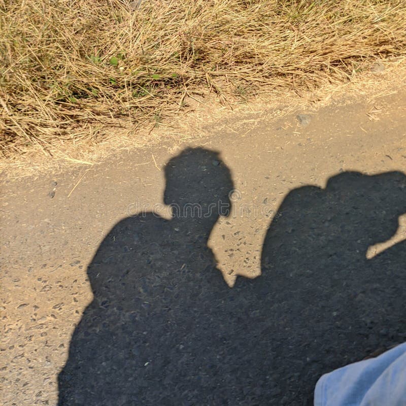 Shadow Road Aesthetic View Beutiful Stock Image - Image of friends ...