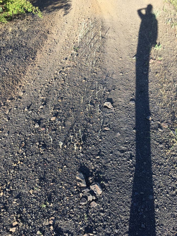 The Shadow on the Road, Asphalt Texture, Stones on the Ground. Stock ...