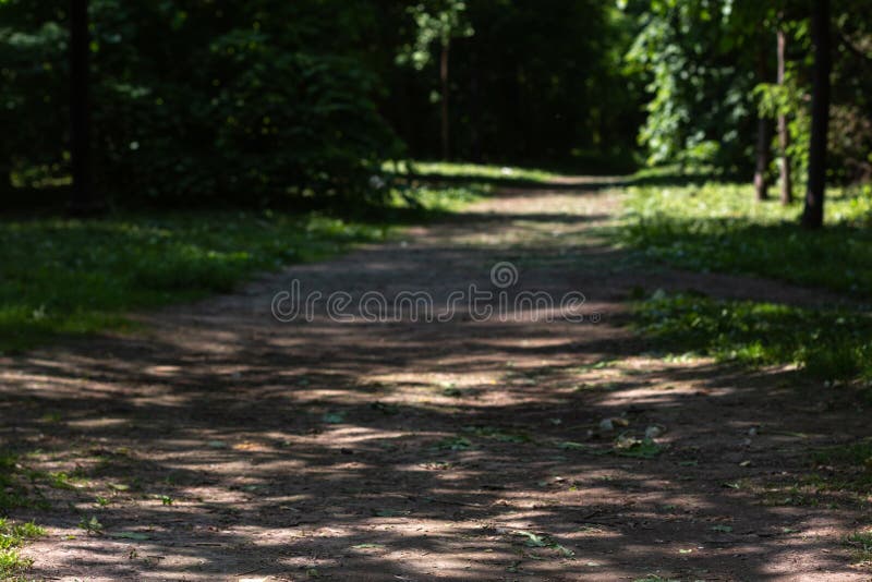 The Shadow on the Road, Asphalt Texture, Stones on the Ground. Stock ...