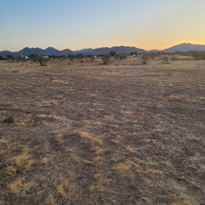 136 Rolling Bush Desert Stock Photos - Free & Royalty-Free Stock Photos ...