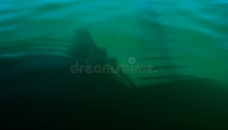 Shadow of Sailor with Ship`s Mast and Ladder Reflected Over the ...