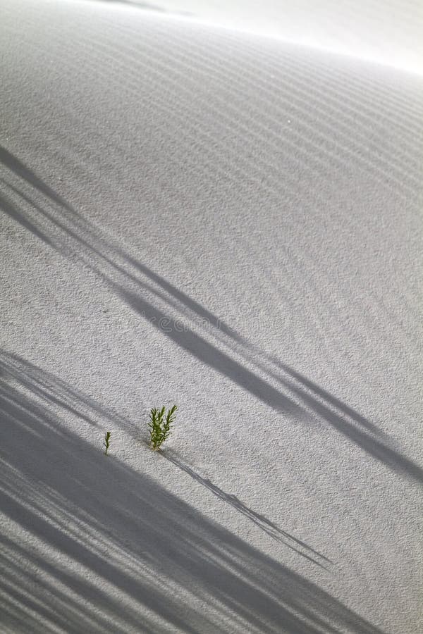 Shadow and Sand Create a Monochromatic Landscape Stock Photo - Image of ...