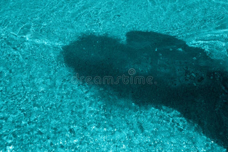 Shadow on the Sand stock photo. Image of woman, wind - 40003720