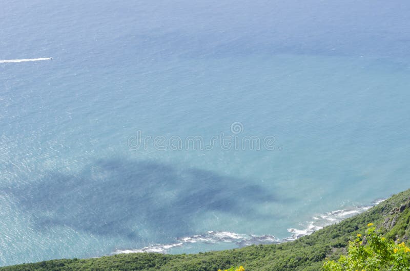Shadow in the Sea stock photo. Image of foot, grass - 256096910
