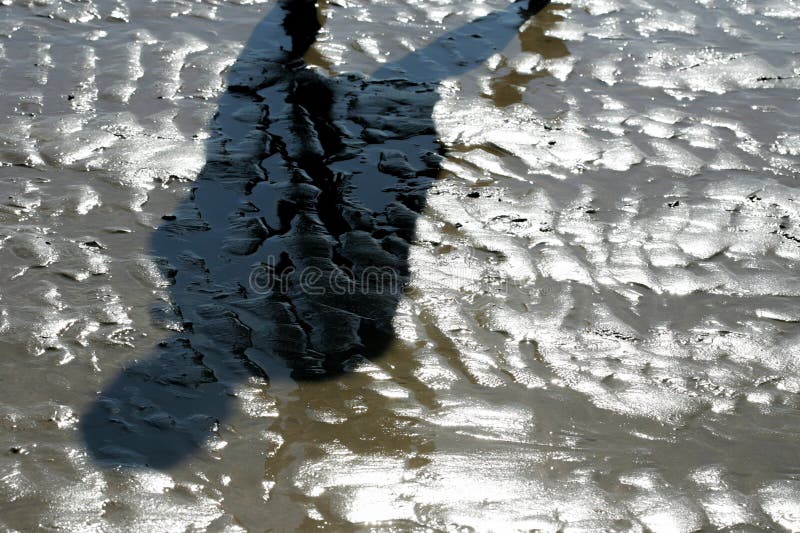 Shadow on the Seaside Sand: a Harmony of Light, Waves, and Natural ...