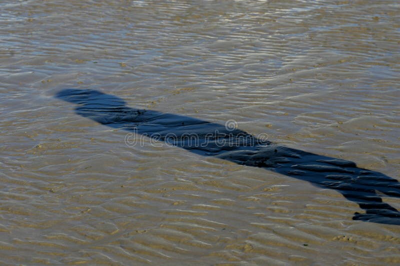 Shadow on the Seaside Sand: a Harmony of Light, Waves, and Natural ...