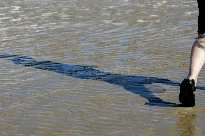 Shadow on the Seaside Sand: a Harmony of Light, Waves, and Natural ...