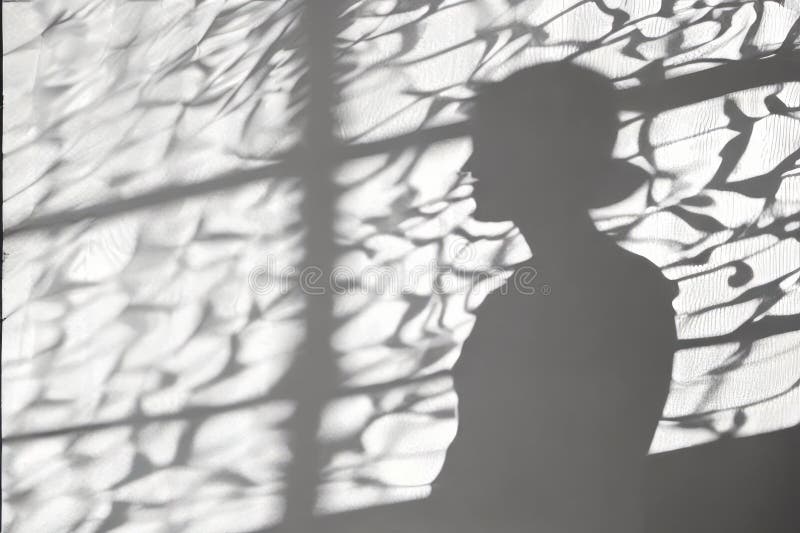 Shadow Self a Room with Shadow Self Created Using Photogram Addi Stock ...