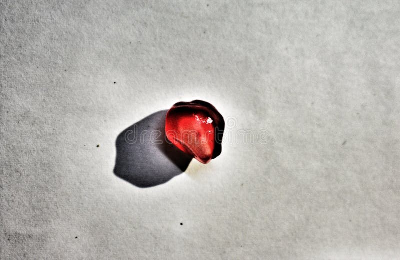 Shadow stock photo. Image of seed, shadow, edges, shape - 180437480