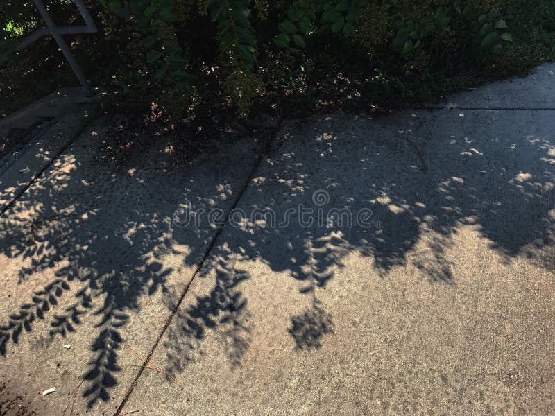 Shadow stock image. Image of shadow, leaf, sideway, leaves - 105134685