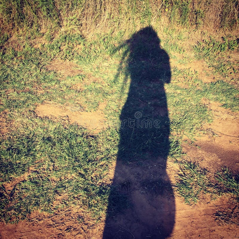 Shadow stock image. Image of shadows, show, forms, true - 94774603