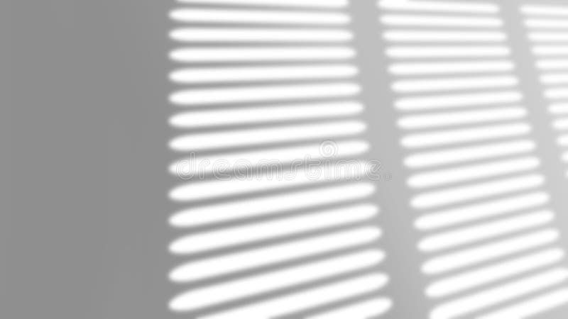 The Sun S Shadow Formed by Being Blocked by Windows, Branches and Twigs ...