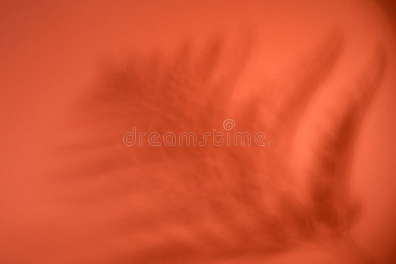 Shadow Silhouette of Fern Leaf on a Bright Orange Background. Botanical ...