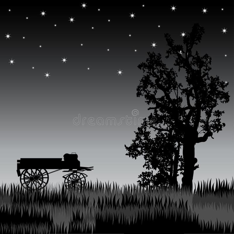 Shadow Silhouette Tree and Car with Night Sky Stars Vector Stock Vector ...