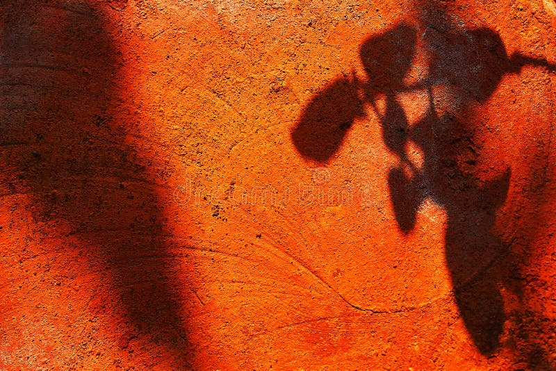 The Shadow of a Small Plant on a Plant Pot Stock Photo - Image of sunny ...