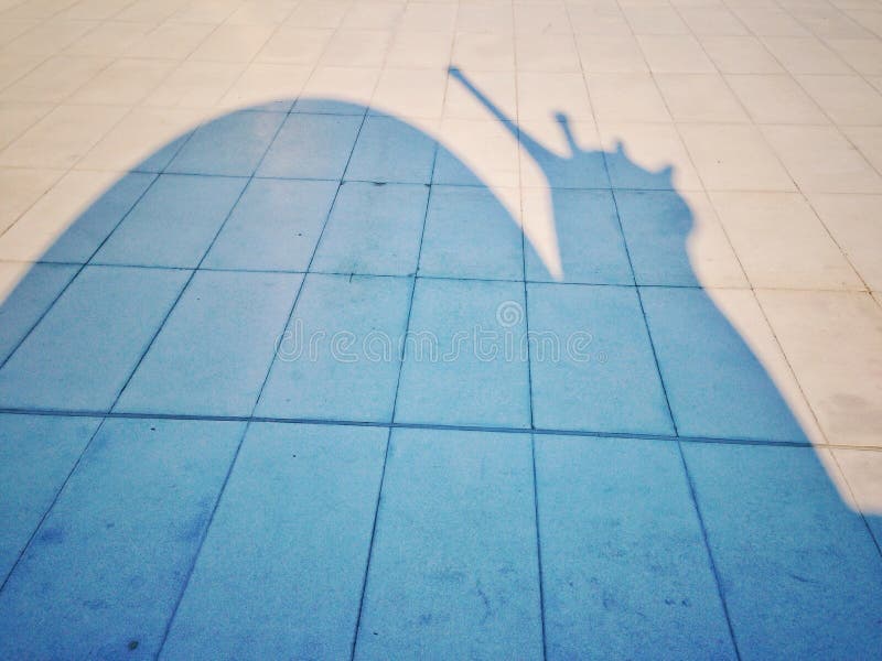 Shadow of a snail stock image. Image of animal, shade - 88520933