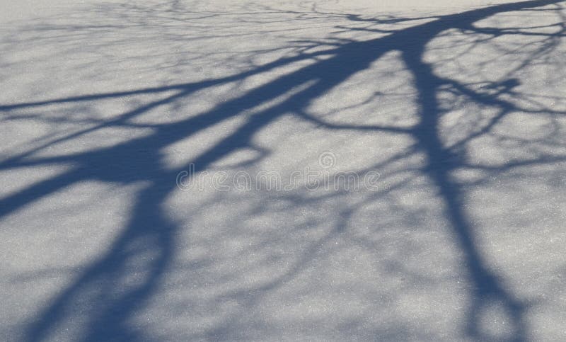 Shadow on snow from a tree stock image. Image of solitary - 33828471