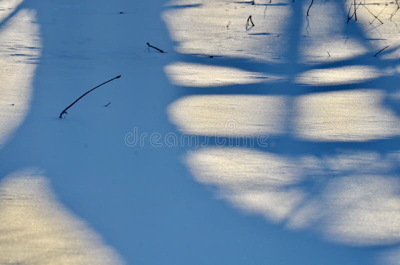 Shadow on snow in winter stock image. Image of nature - 172026041