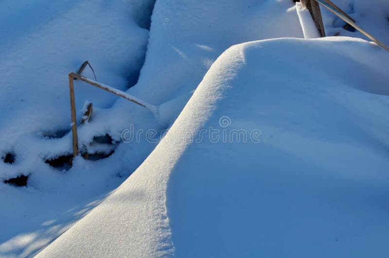 Shadow on snow in winter stock image. Image of tree - 172026165