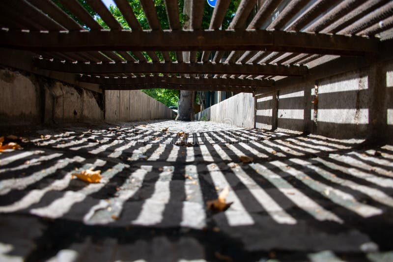 The Shadow of Some People Standing on the Floor Under a Bench Stock ...