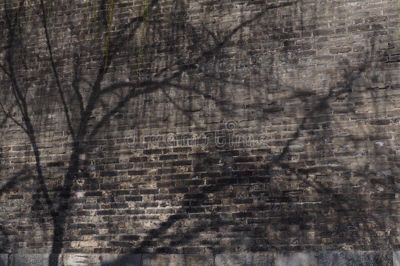 Shadow of spring editorial photo. Image of shadow, spring - 52032216