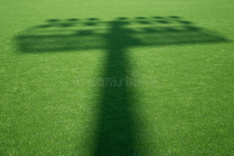 Shadow of Stadium Light on the Grass Stock Photo - Image of shadow ...