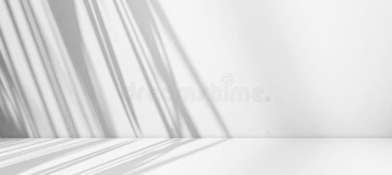 Shadow Studio 3d Background Light White Overlay from Window on Table ...