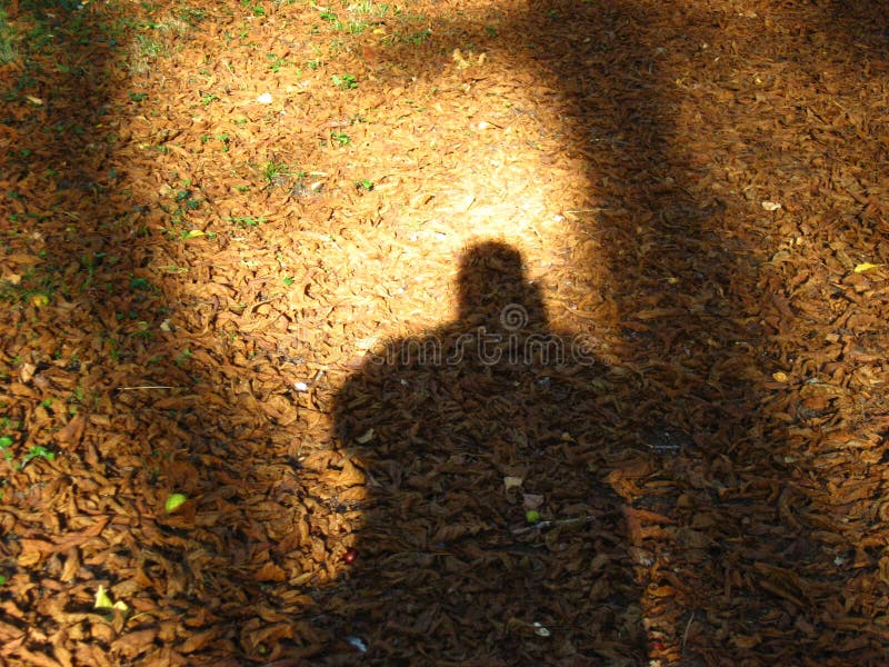 Shadow from the sun stock image. Image of autumn, landscape - 58607819