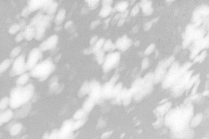 The Shadow of the Sun Shining through the Forest, Round Spots on a ...