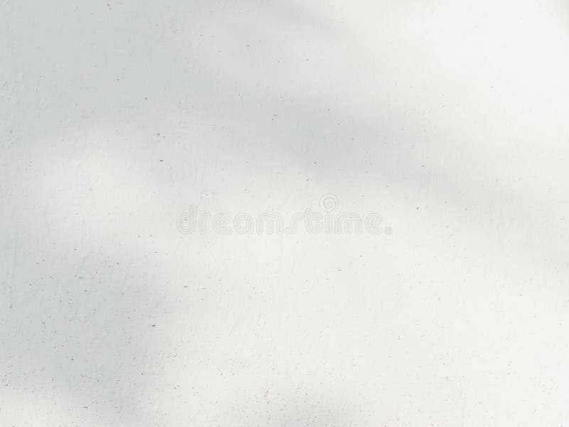 The Shadow of the Sun Shining through the Wood Stock Image - Image of ...