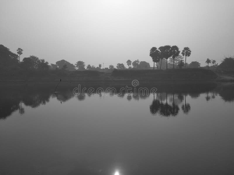 Shadow of Sun and Trees in the River Stock Photo - Image of river ...