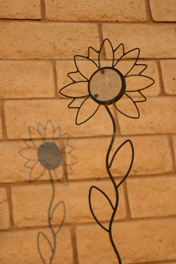 Shadow upon a Sunflower stock photo. Image of concrete, stake - 44510