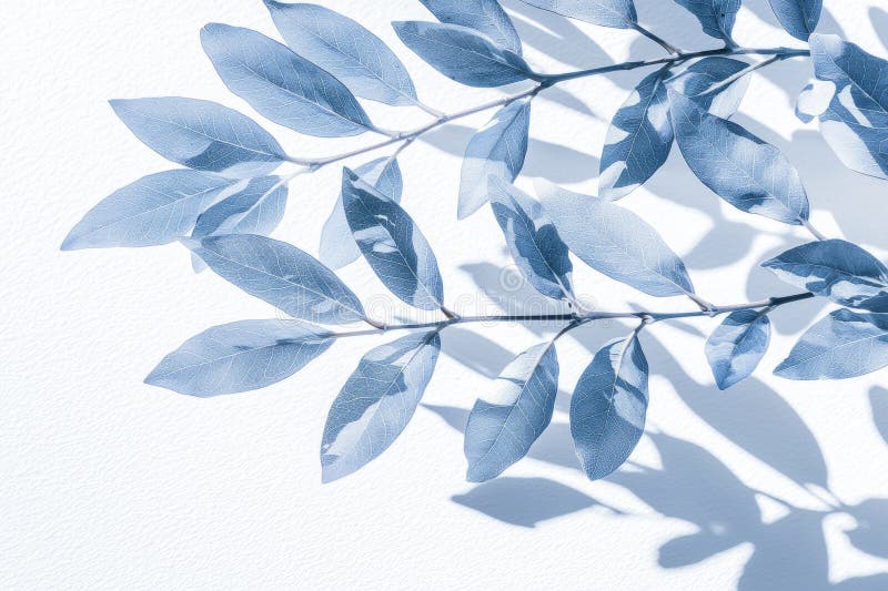 The Shadow and Sunlight of Leaves Cast Reflections on the Concrete Wall ...