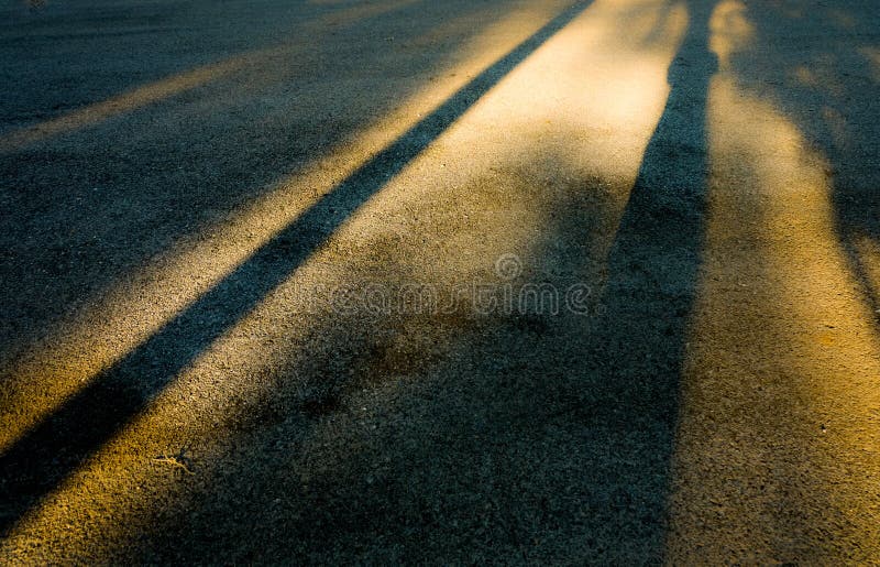 Shadow of sunset. stock image. Image of bright, look - 88322305