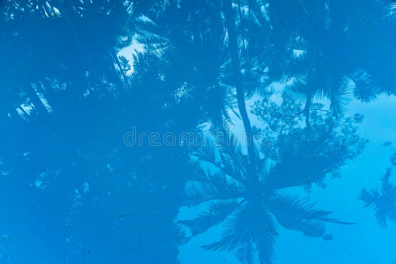 Shadow in swimming pool stock photo. Image of relax, resort - 45890742