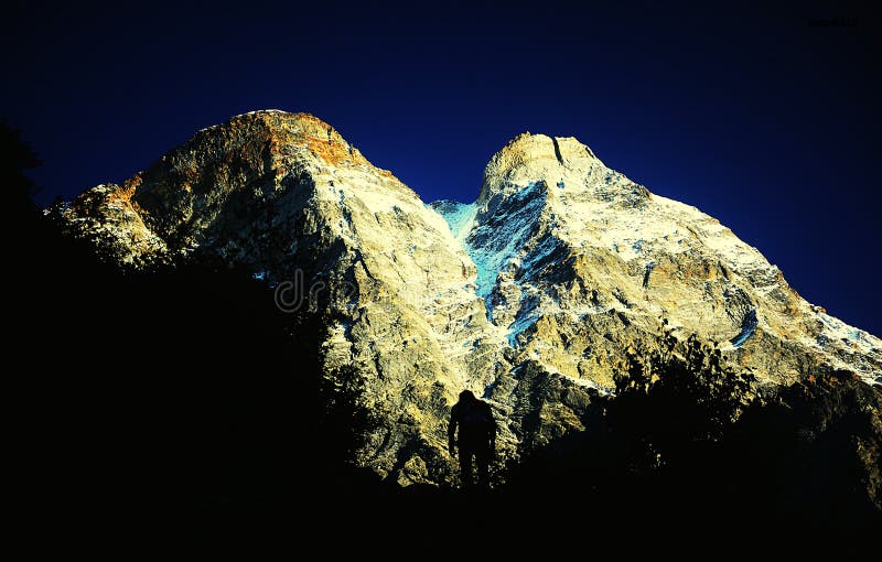 The shadow stock image. Image of flowers, uttarakhand - 123873153