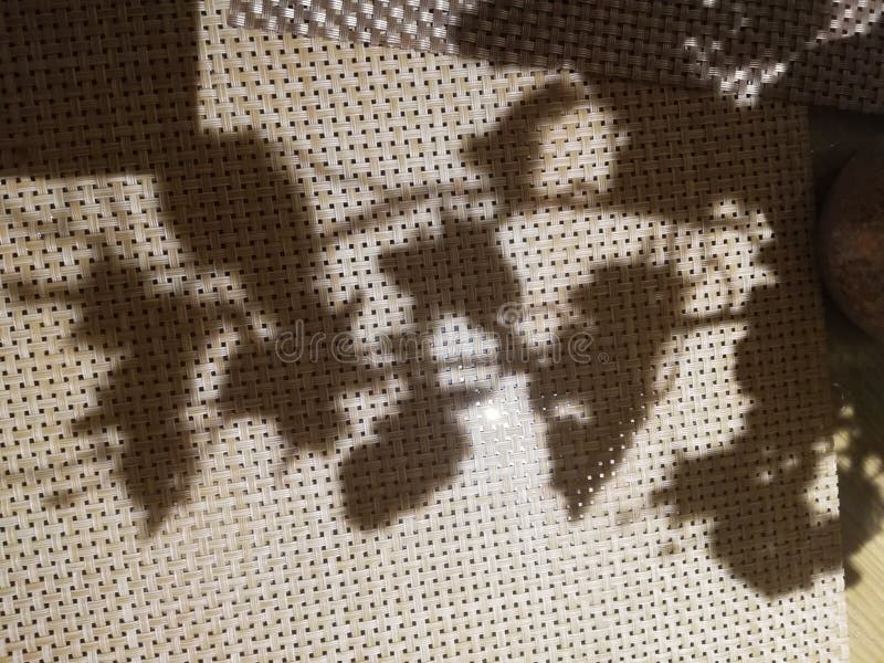 Shadow on a textured mat stock photo. Image of square - 166205916