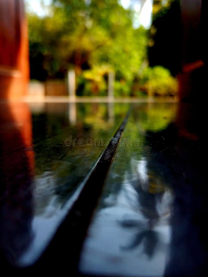 Shadow of tiles stock photo. Image of yellow, autumn - 269748338