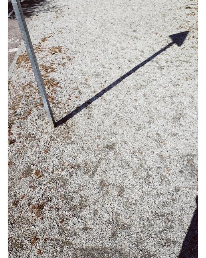 Shadow stock photo. Image of pine, time, shadow, sand - 157614544